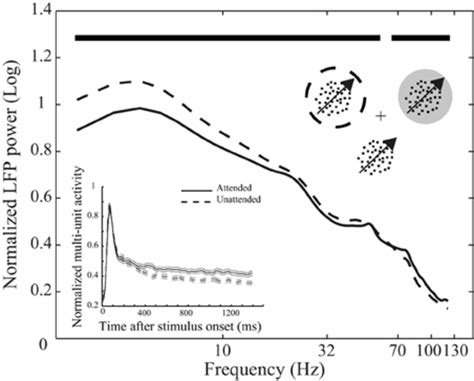 Behavioral Paradigm And Attentional Modulation Of Neural Activity Top Download Scientific