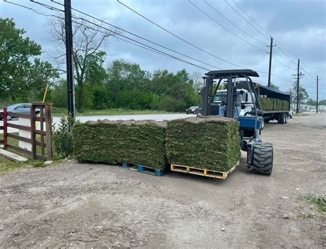 Sod For Sale In Houston Near Me Spring And The Woodlands Tx