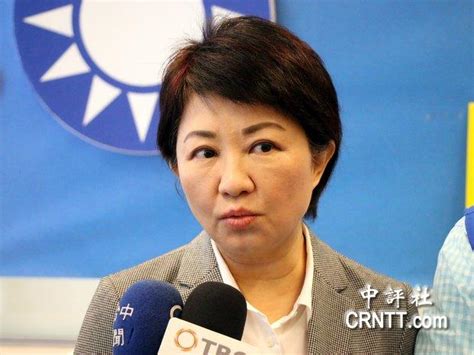 蓝营台中市长初选卢秀燕险胜 称将邀请江启臣出任竞选总干事选举卢秀燕江启臣新浪军事新浪网