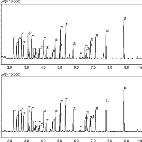 Tic Chromatogram 20 M Vf 5 Column Of Gc Ms Ei Analysis Of Amino Acid Download Scientific