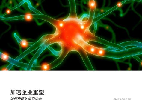 加速企业重塑：如何构建认知型企业