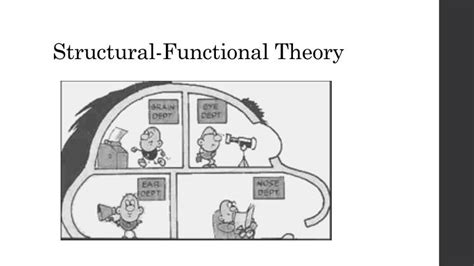 ️ What Is Structural Functional Theory What Are Some Examples Of Functionalist Perspective In