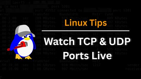 How To Watch Tcp And Udp Ports In Real Time On Linux