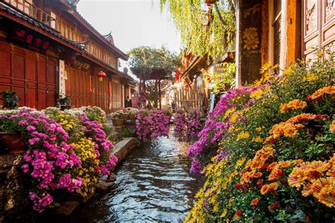 丽江四季赏花自助游攻略精华美图篇 丽江旅游攻略 游记 去哪儿攻略