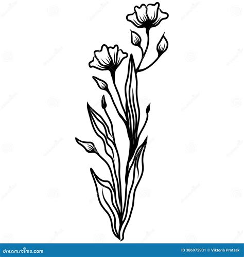 Linear Vector Bar Code Template Barcode Pattern 248080961