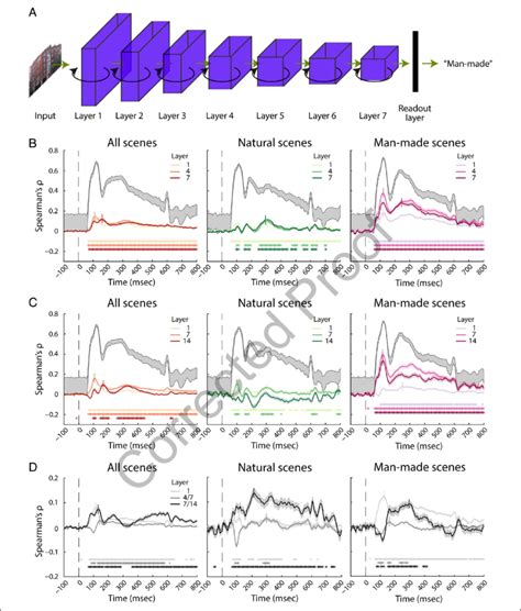 Modeling Human Neural Scene Representations With An Rcnn Versus An Download Scientific Diagram