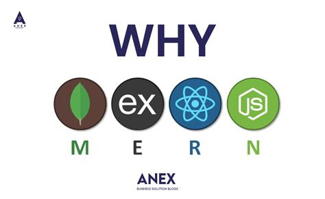 Why Should I Choose Mern Anex Business Solution