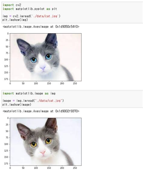opencv 를 활용한 동영상 처리 face detection