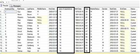 Microsoft Business Intelligence Inserting Stored Procedure Result Into