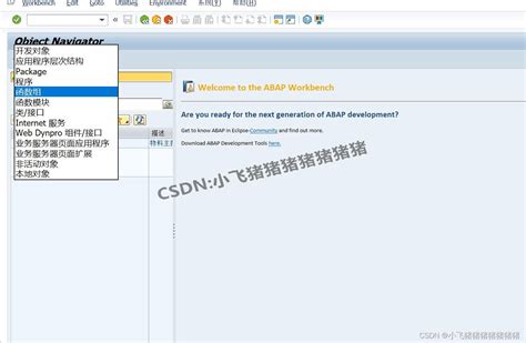 Sap Se80对象导航器乱码 Se80 乱码 Csdn博客