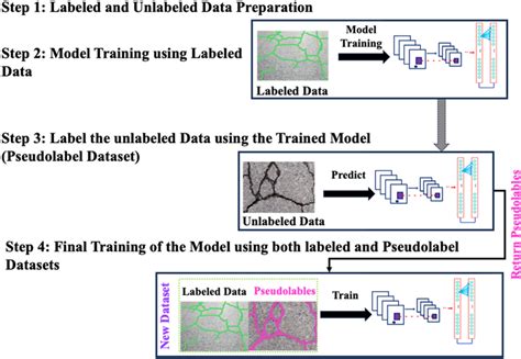 The Depiction Of Traditional Pseudo Labelling Operation Download