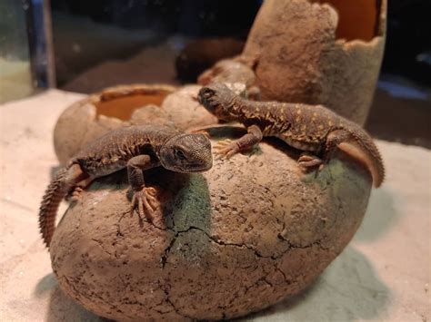 제목 없음 On Tumblr