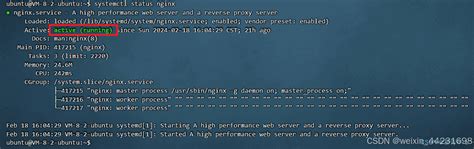 Ubuntu上部署vue项目到ngixn中springboot项目postgresql数据库ubuntu部署vue项目 Csdn博客