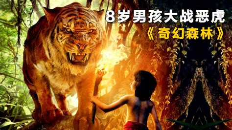 男孩从小被恶虎追杀信好有狼群黑豹棕熊对他保护 高清1080P在线观看平台 腾讯视频