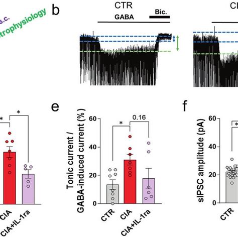 Il 1β Is Sufficient For Aberrant Astrocytic Gaba In The Hippocampus A