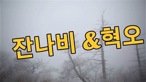 한밤의 음악다방 서정적인 노래모음 잔나비 And 혁오 Youtube