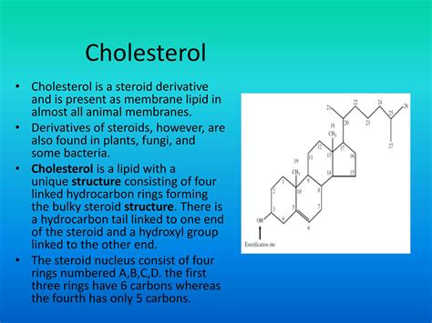 Lipids Structure And Functions Ppt