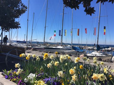 Страсти под звездите Италианска идилия