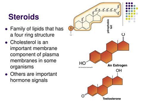 PPT Lipids Membranes The First Cells PowerPoint Presentation ID