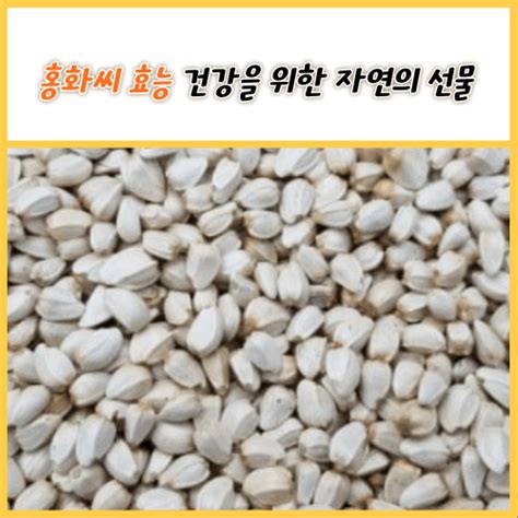 홍화씨 효능 건강을 위한 자연의 선물