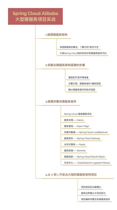 Spring Cloud Alibaba 大型微服务项目实战 程序员十三 掘金小册