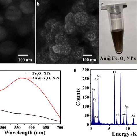 A SEM Images Of Fe3O4 NPs B SEM Images Of Au Fe3O4 NPs C Color
