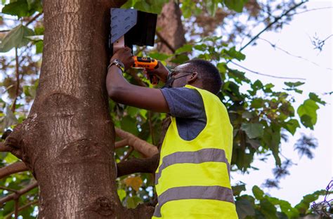 Sunbird Ai Artificial Intelligence Research Applied To African Problems