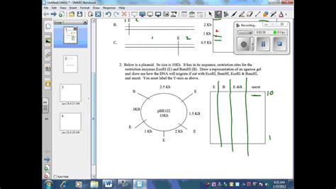 Plasmid Practice YouTube