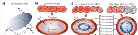 a Ellipsoidal model with semi axes í µí í µí í µí í µí and í Download Scientific