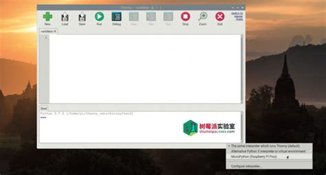 使用 Micropython 在树莓派 Pico 上编程 树莓派 Pico 实验室（rp2040）