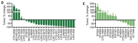 科学重磅攻克不可成药靶点这种小分子药物带来什么启示 今日顶尖科学期刊科学上发表的一项重磅研究中Revolution Medicines公司和纪念斯隆 凯瑟琳癌症中心
