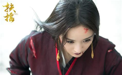扶摇身世曝光，她是璇玑国公主含莲而生，后一统五洲！