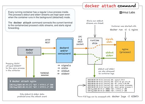 Docker Run Attach And Exec How They Work Under The Hood And Why It Matters