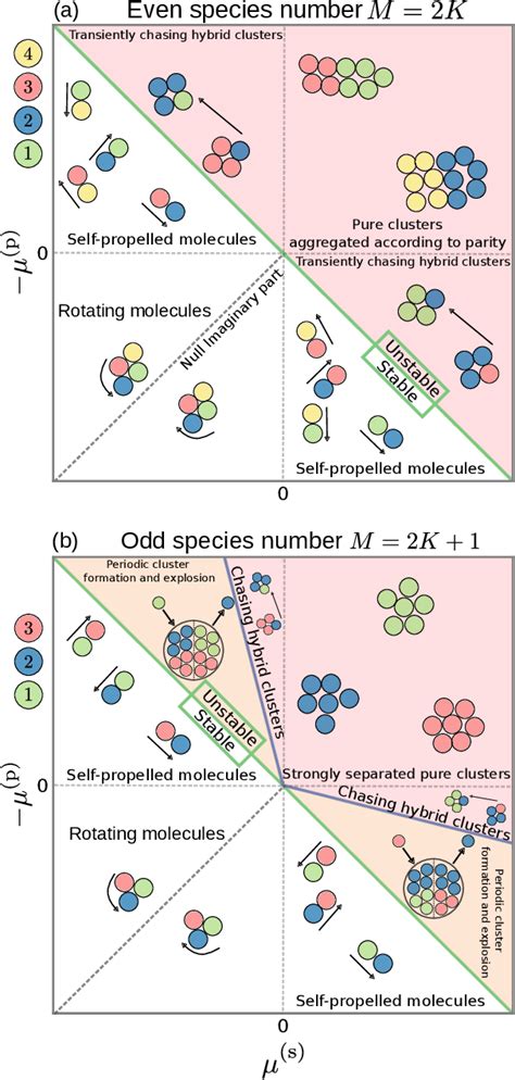 figure 2 from self organization of primitive metabolic cycles due to non reciprocal interactions