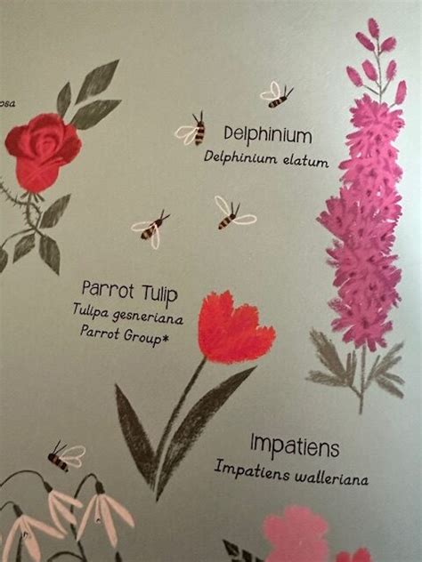 Litlinks How To Explore Fibonacci Numbers With Flowers Patricia Newman