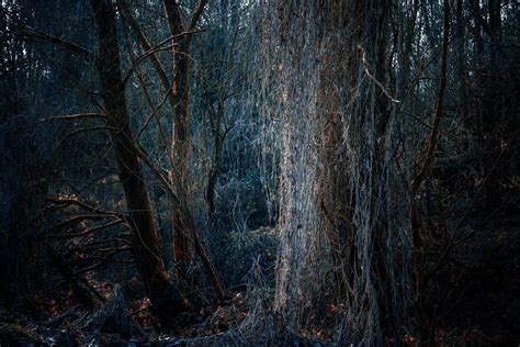 Michelle Blancke Fotogalerie Roel Sandvoort