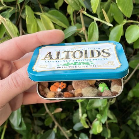 Miniature Altoids Tin Diorama Nature Animals Fox Frog And Birds