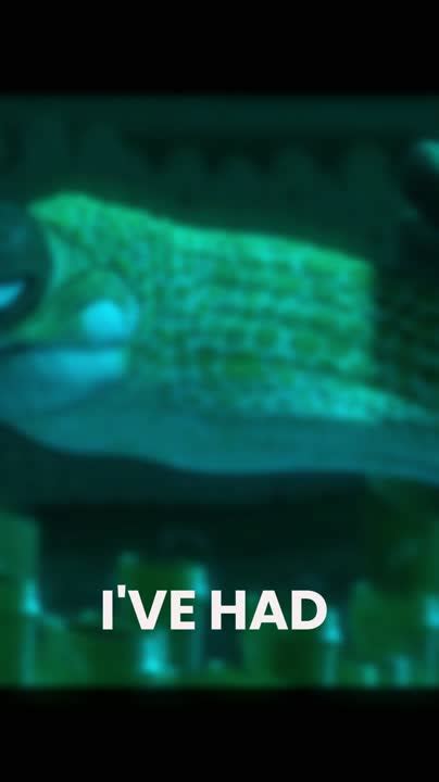 Video Shushant Priyadarshi On Linkedin Selftaught Videoediting