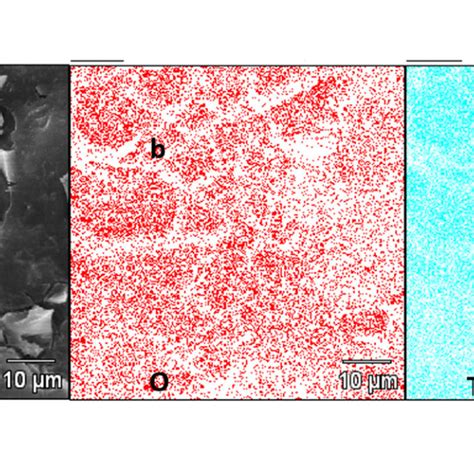 A Sem Image Of The Ac Tio2 Sample And Its B Edx Concentration Map Download Scientific