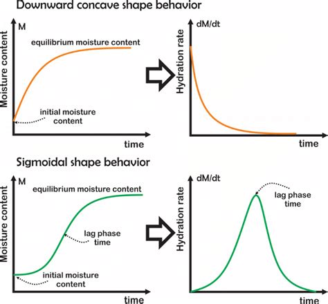 Behaviors Of The Hydration Kinetics Of Grains Download Scientific