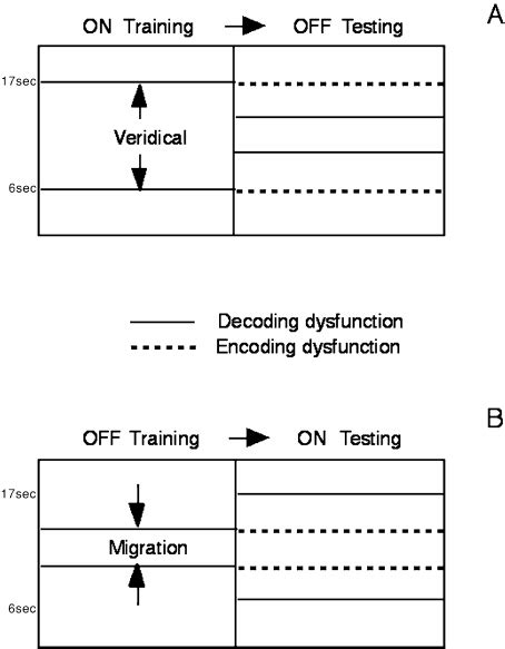 Predictions Of The Encodedecode Design For Two Experimental Groups Download Scientific