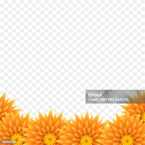 꽃 테두리입니다 벡터 일러스트 레이 션은 투명 한 배경에 고립되어 있습니다 0명에 대한 스톡 벡터 아트 및 기타 이미지 0명