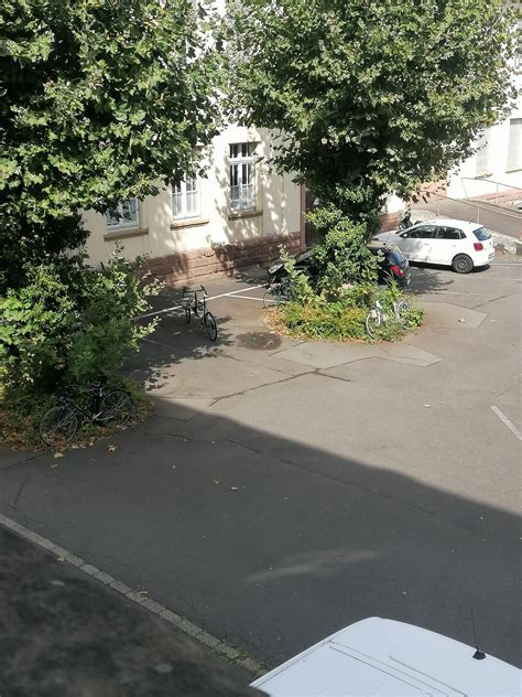 Meine Nachbarn Machen Es Richtig R Autobloed