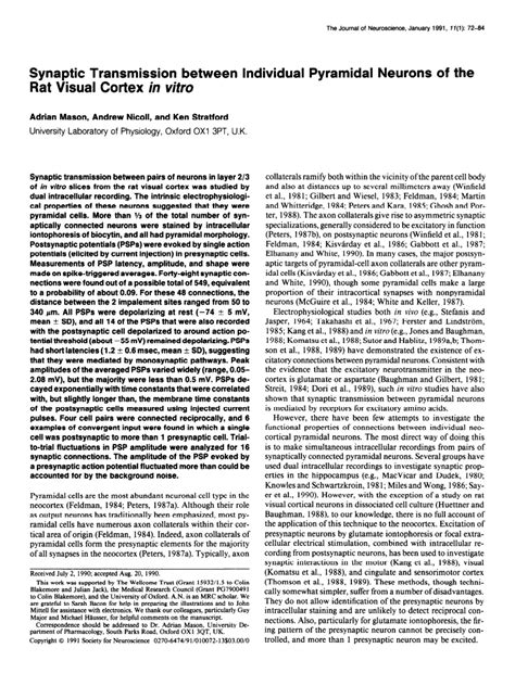 Pdf Synaptic Transmission Between Individual Pyramidal Neurons Of The Rat Visual Cortex In Vitro