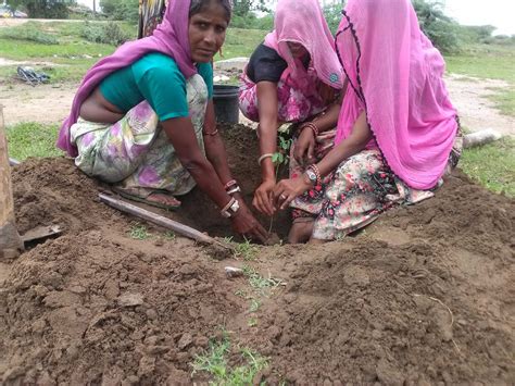 Locate Your Tree Project Greet With Trees