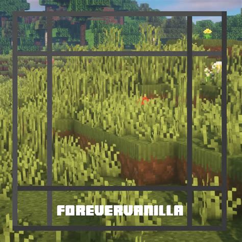 Tall Grass Texture Minecraft