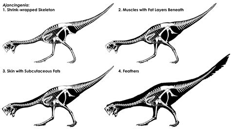 Understanding The Fossil Record Bias Part I Fossilizations