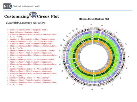 Ppt Circos Circos Plot With R Powerpoint Presentation Free Download