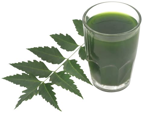 Medicinal Neem Leaves With Extract 31097768 Png