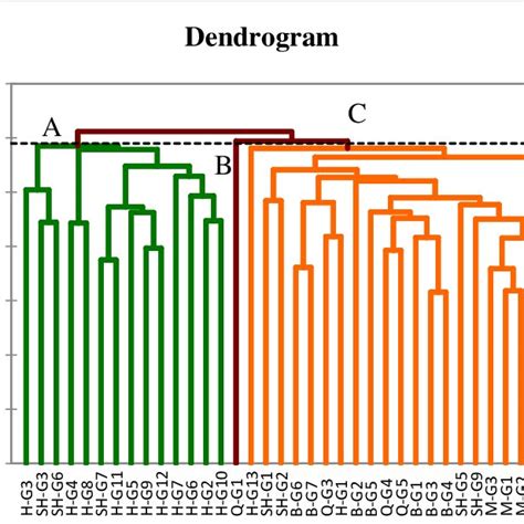Cluster Tree Created By Upgma Method Based On 20 Rapd Markers Among 38 Download Scientific